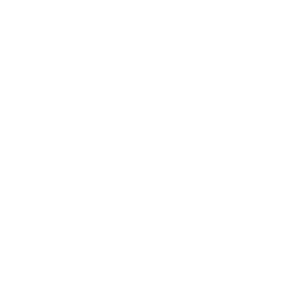 Summer Systems Program Management Icon Road Map White Summer Systems